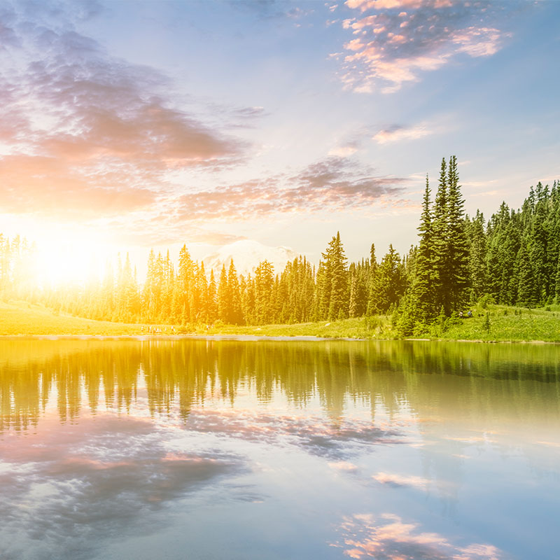 Future Electronics to Exhibit at Electronica 2022 Under the ‘Empowering a Greener Future’ Banner ...