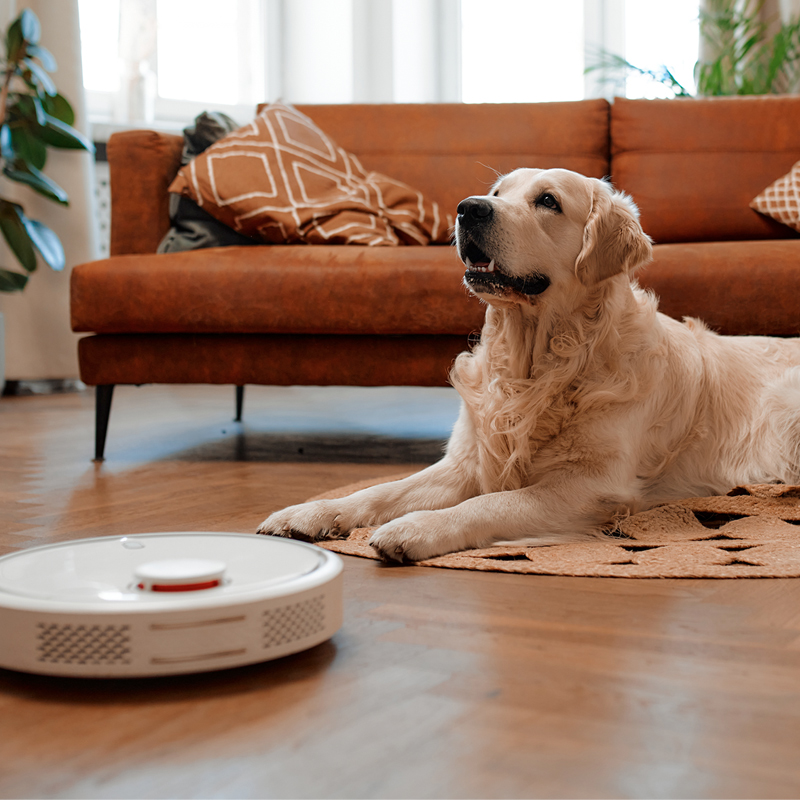 Future Electronics Highlights Allegro MicroSystems’ Low-Voltage ...